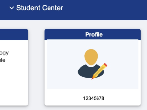 What is my CUNYfirst EMPLID? – BC Knowledge for Students